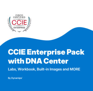 The bridge between theory and practice in networking — Dynamips