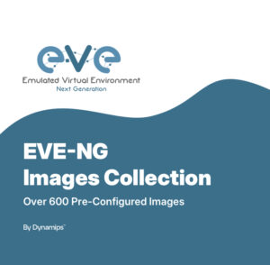 The bridge between theory and practice in networking — Dynamips